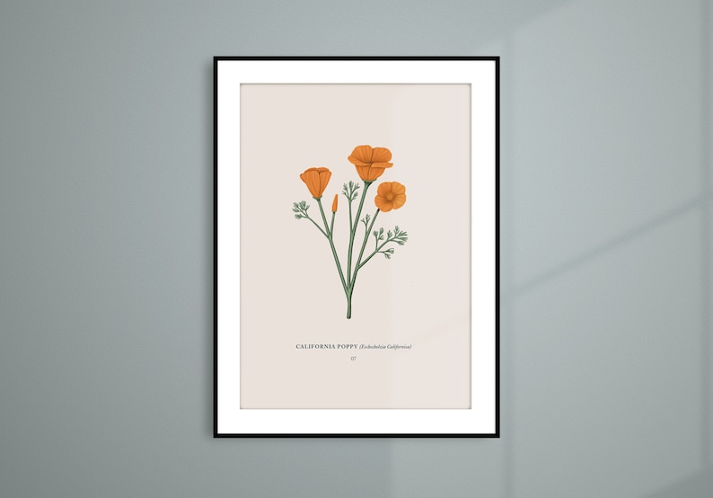 California Poppy Print - Etsy