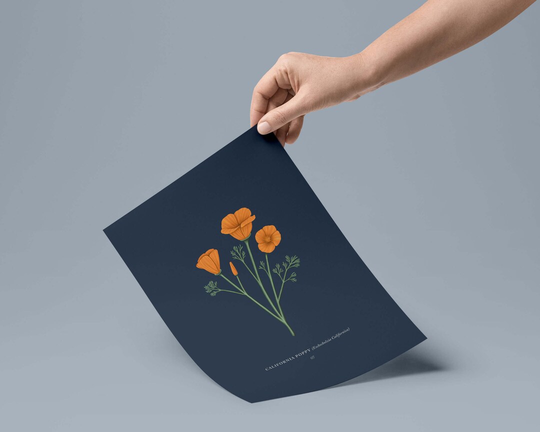 Digital Download / California Poppy Print - Etsy