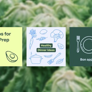 Hand-drawn Healthy Cooking Illustration Set - Etsy