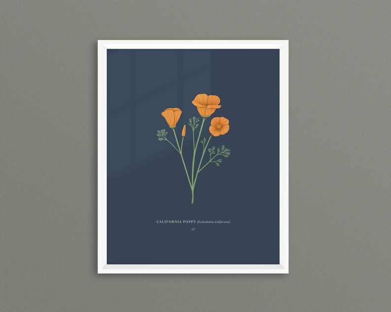 California Poppy Print | Etsy
