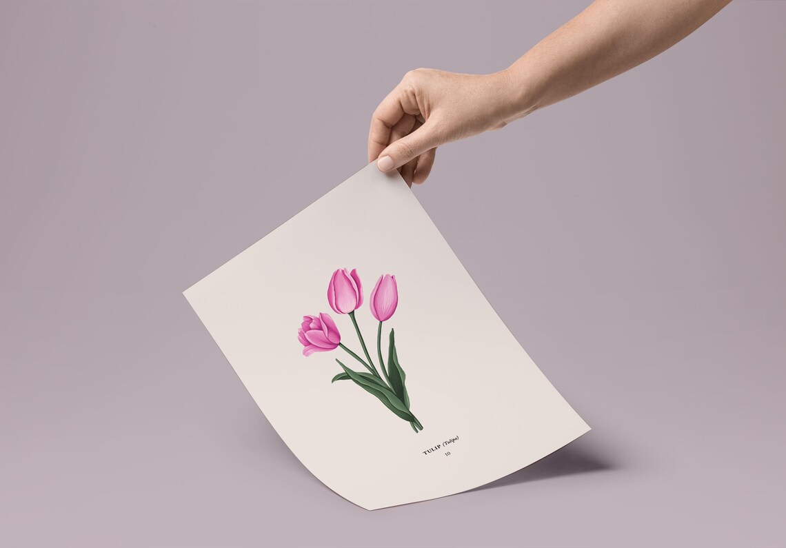 Tulip Print - Etsy