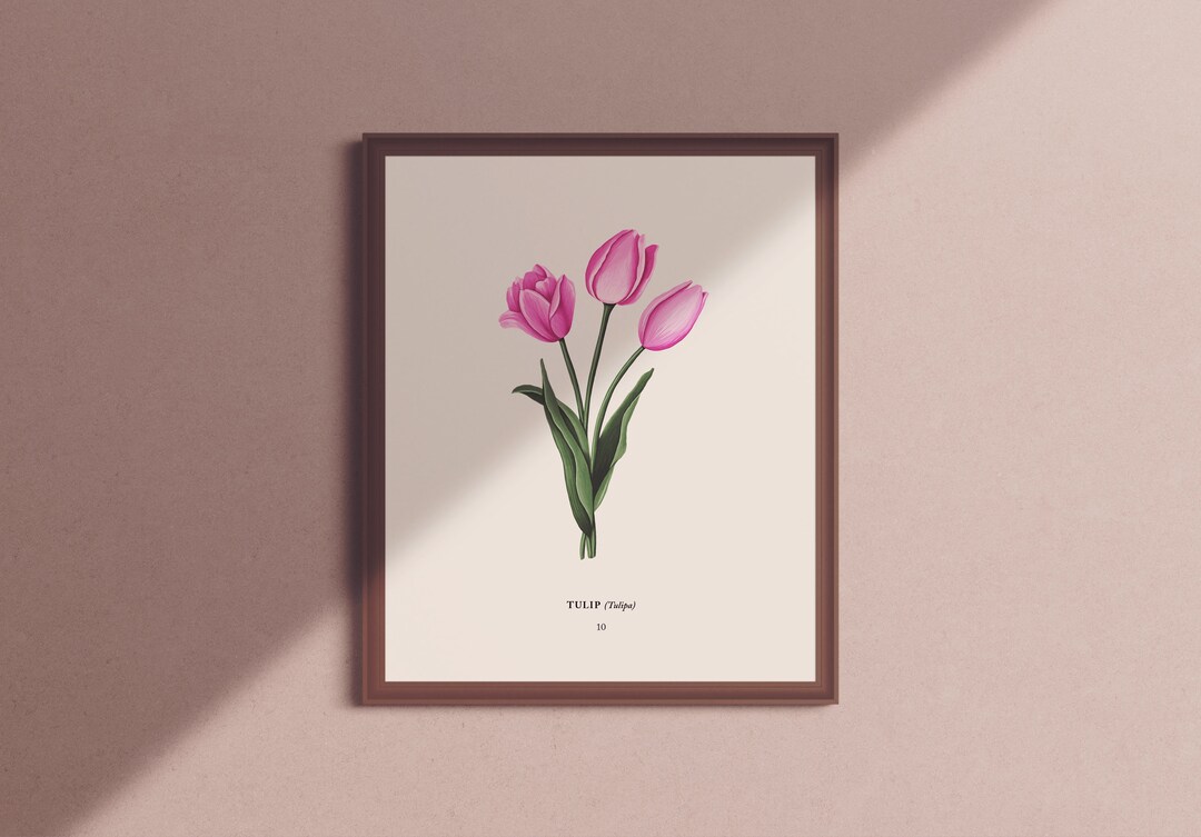Tulip Print - Etsy
