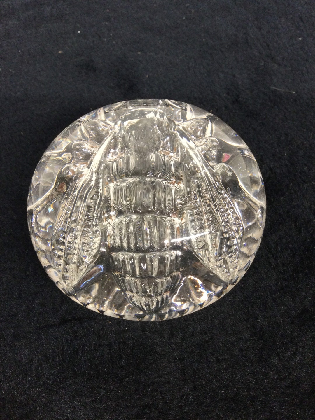 Bumble Bee Crystal Paperweight 3” X 2” - Etsy