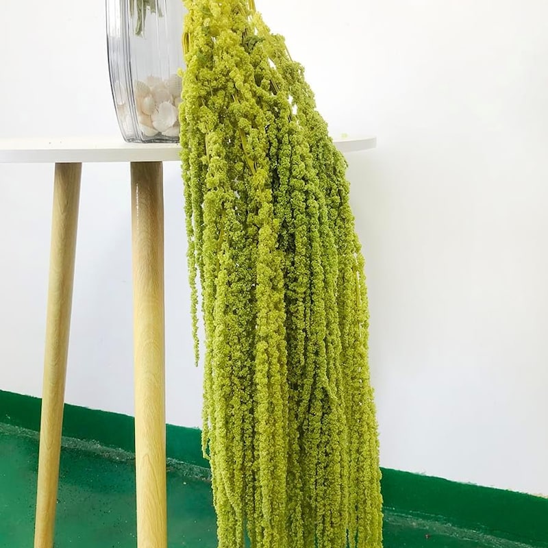 Hanging Dried String - Etsy