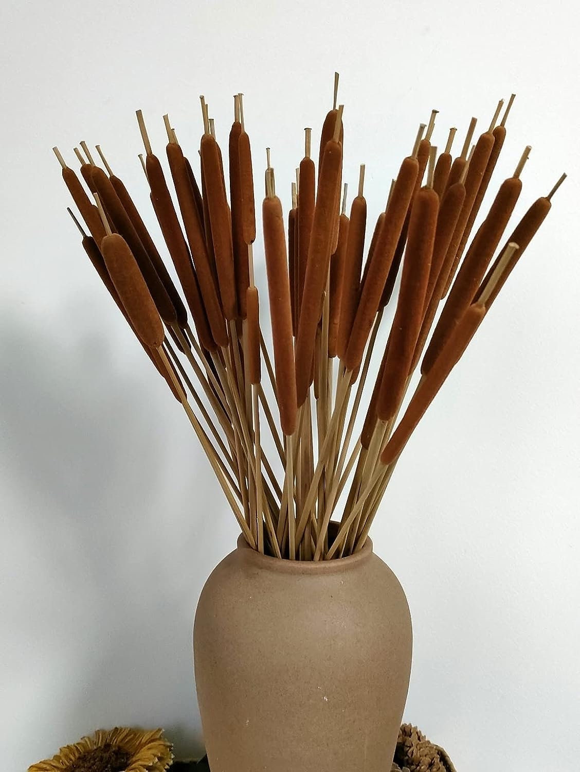 20 Pcs Dried Cattails Floral Stems, 17 Inch Jumbo Cattail Bunch ...