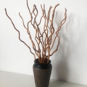 Curly Willow Branches Dried Curly Willow Branches 100% Natural ...
