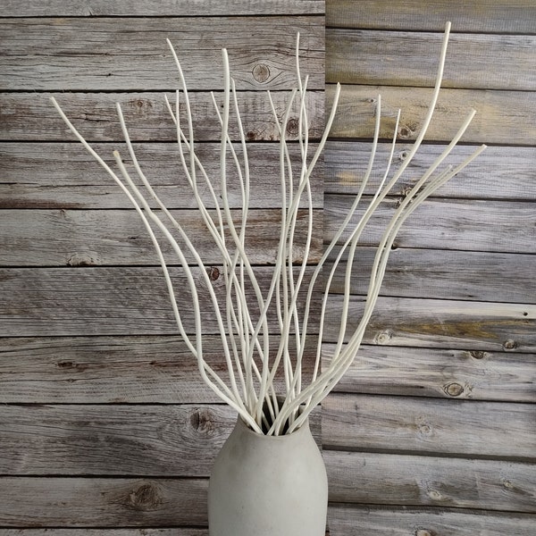 Dried Decorative Twigs - Etsy