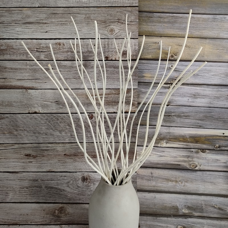 Curly Dried Twigs - Etsy
