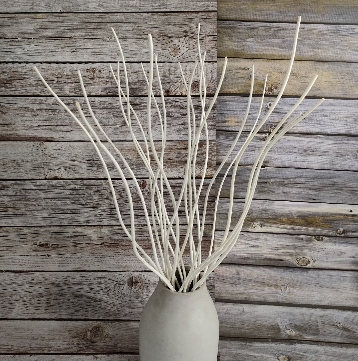 Dried Natural Curly Willow Branch 20 Pieces Decorative White - Etsy