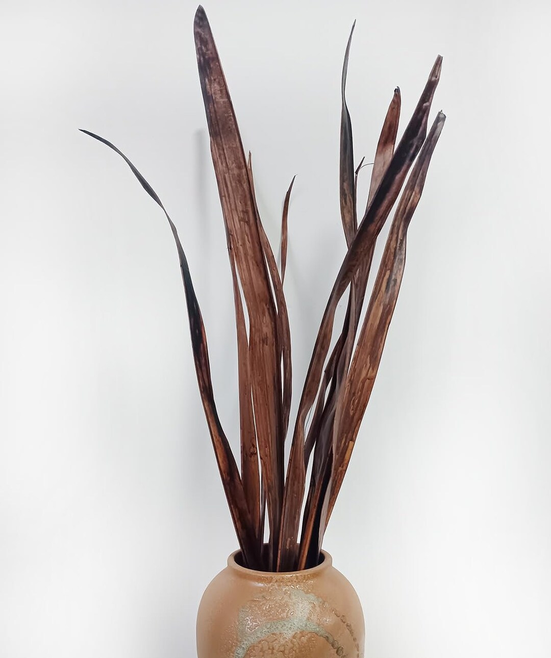 10 PCS Natural Dried Palm Leaves, Vintage Home Decor, Long Leaves ...