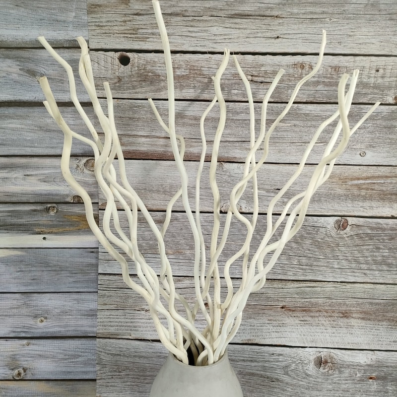 Willow Branches - Etsy