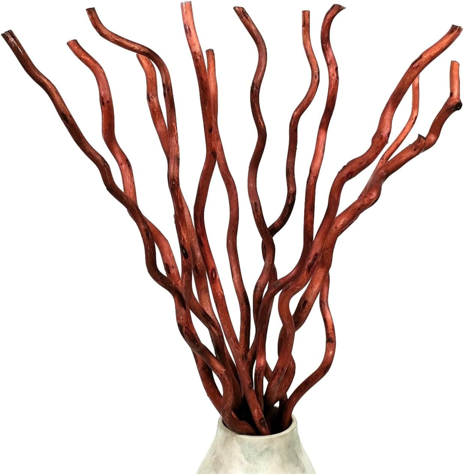 Curly Willow Branches Dried Curly Willow Branches 100% Natural ...
