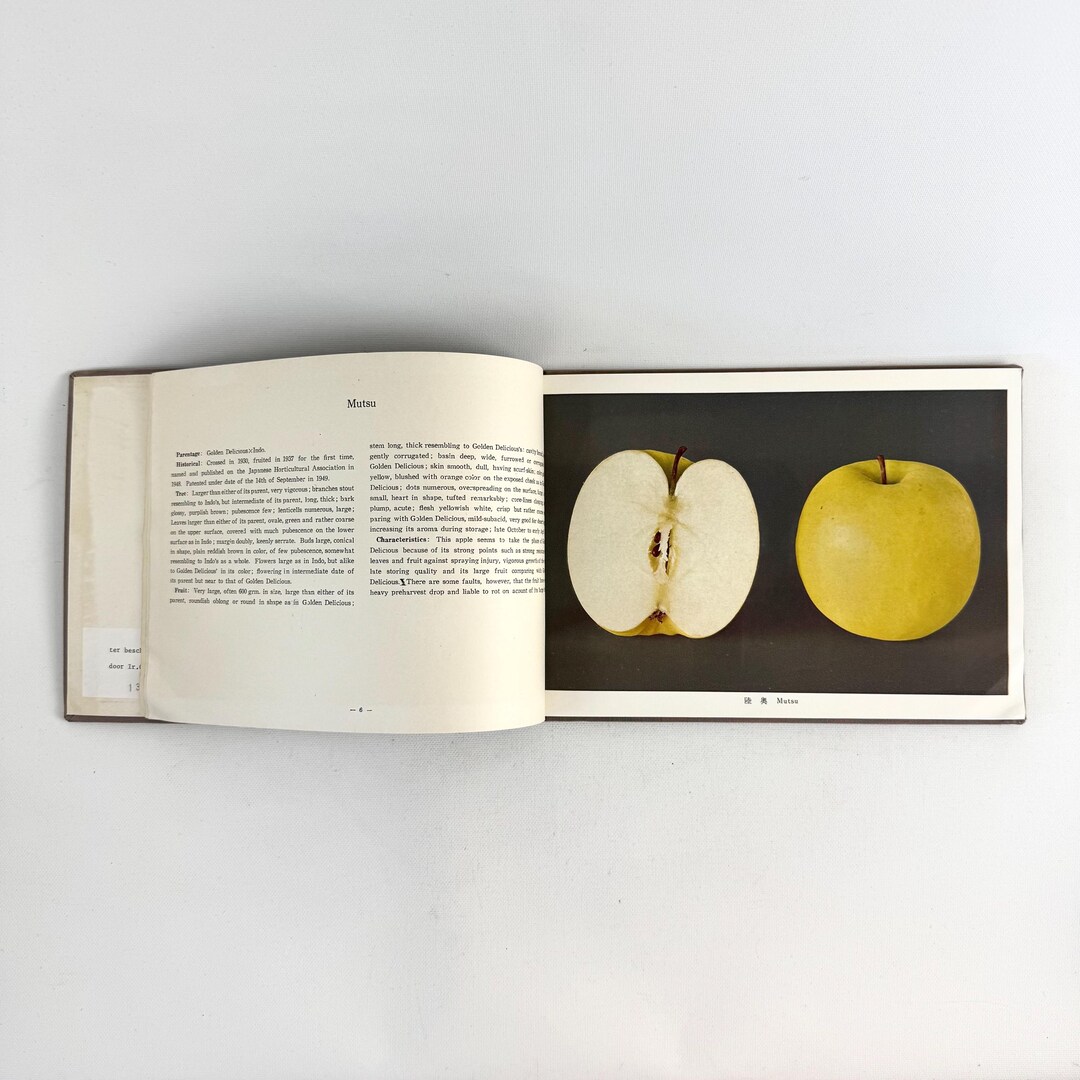 1951 Japanese Apple Illustration Book – Rare Aomori Apple Varieties ...