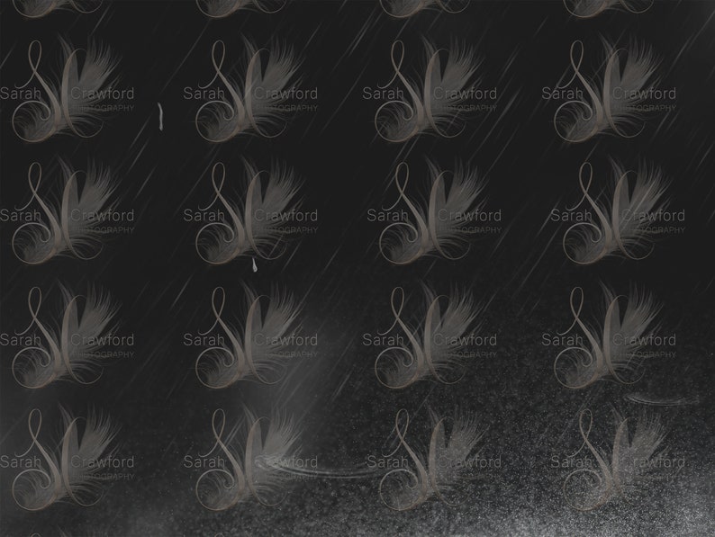 Cinderella Background Digital Composite With Overlays - Etsy