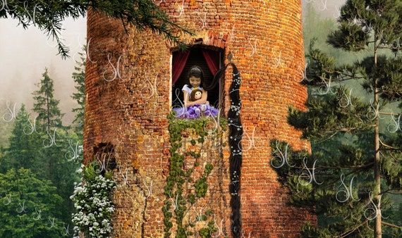 Rapunzel Tower Digital Composite Background With Window and | Etsy