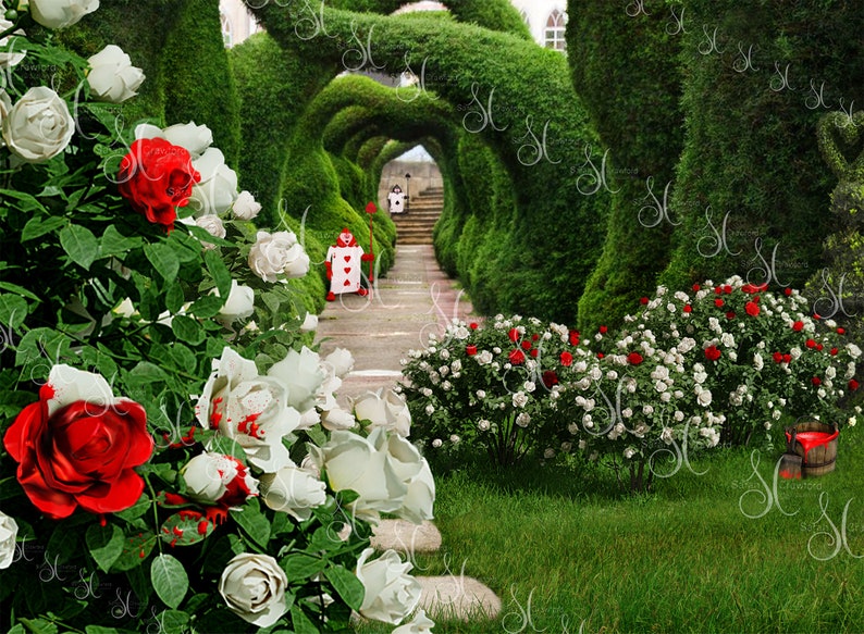 Alice in Wonderland Painting the Roses Red Digital Background - Etsy