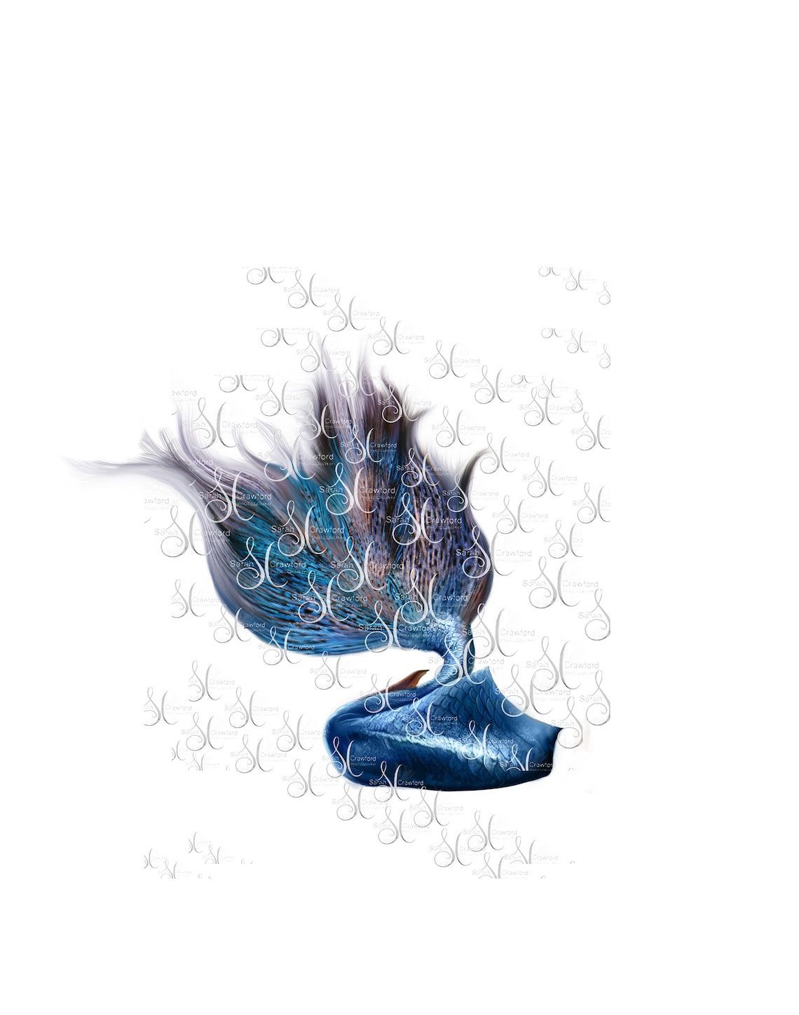 Mermaid Background Underwater Digital Composite With Mermaid Tail/fish ...