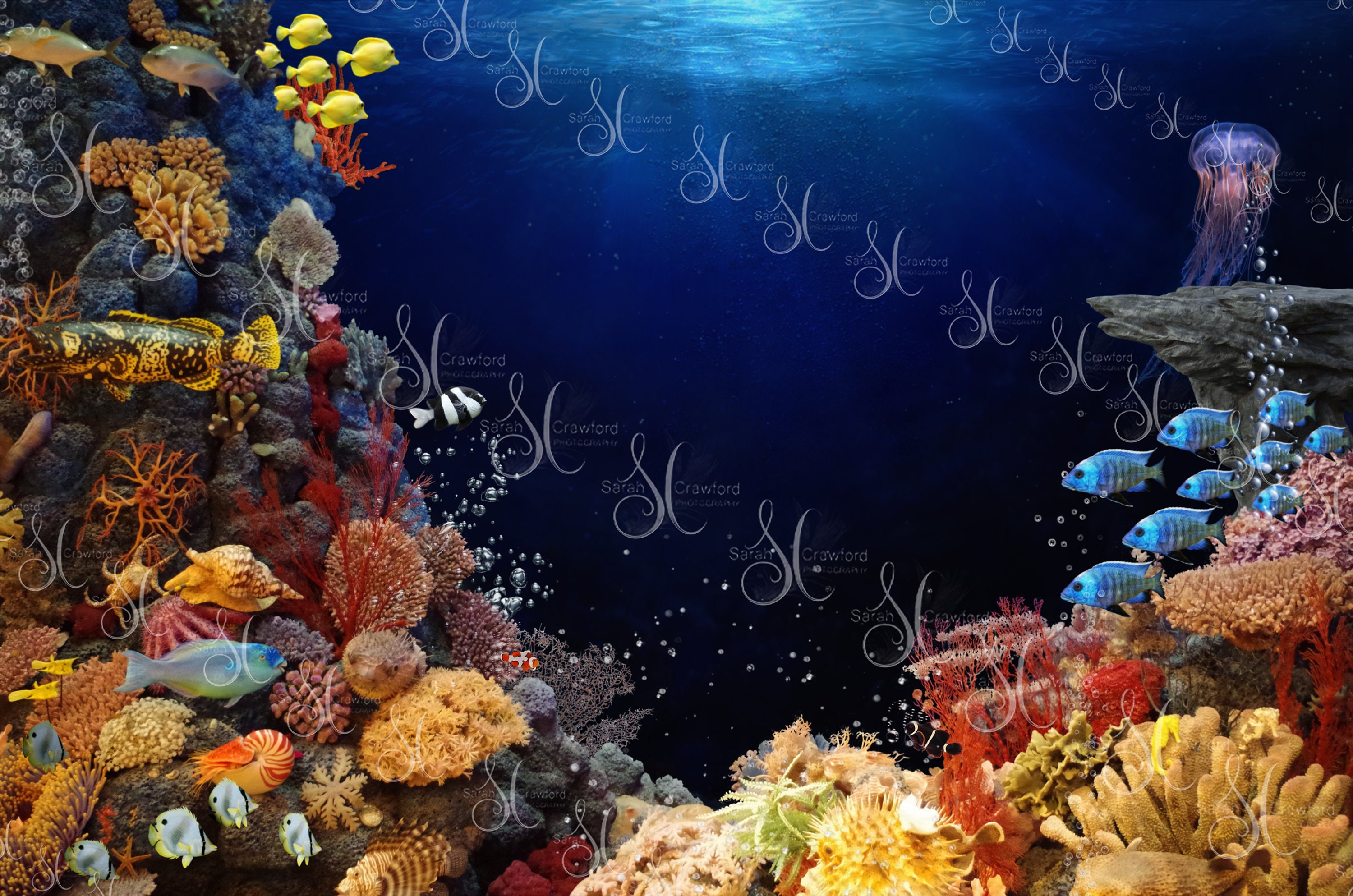 Undersea Digital Background Composite With Coral Reef and - Etsy
