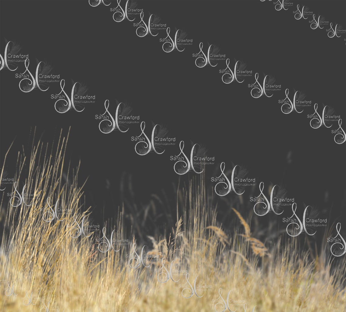 Beach Digital Background Composite With Grassy Overlay Png for - Etsy