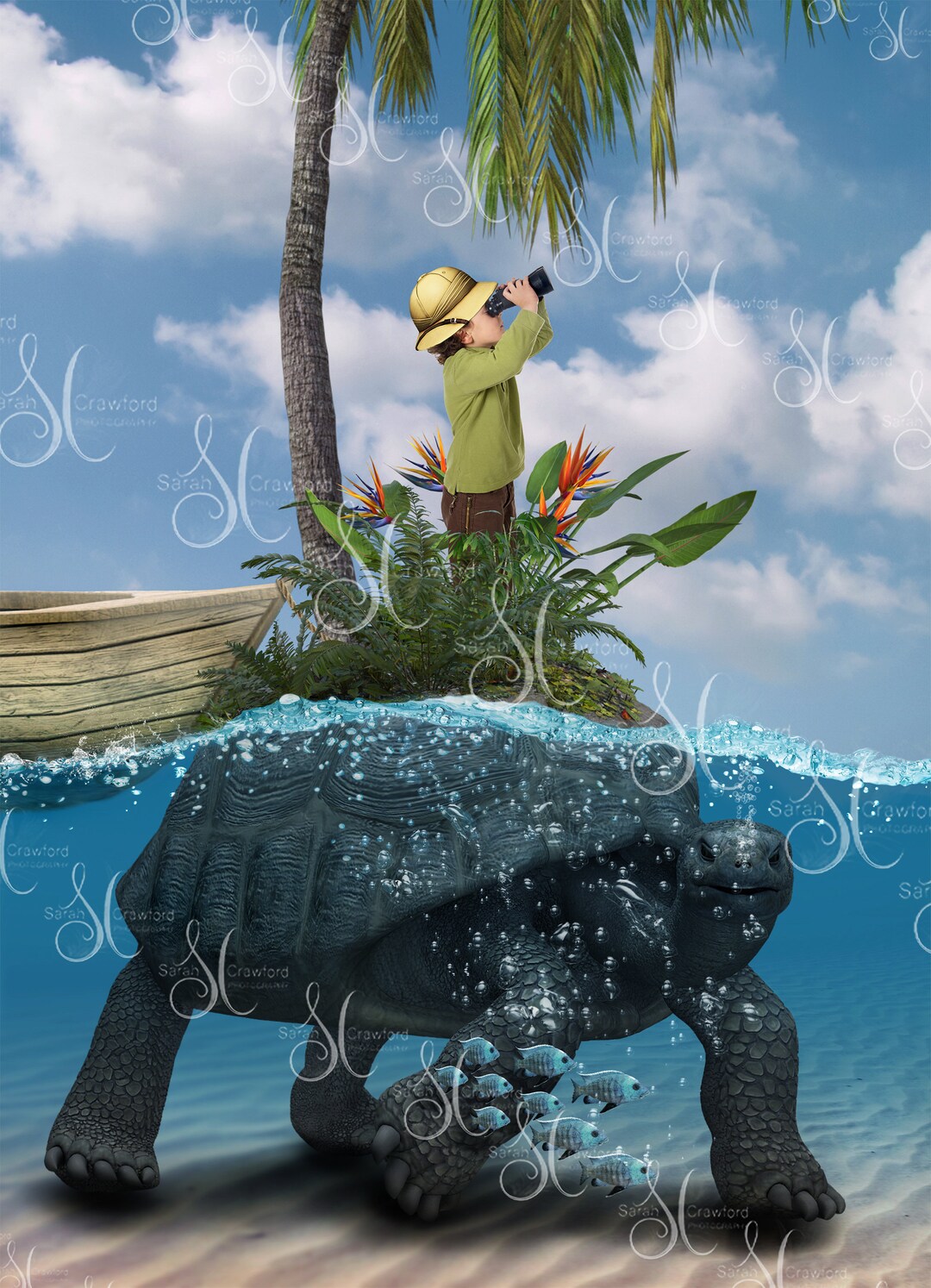 Tortoise Tropical Island Digital Background Composite With Overlay for ...
