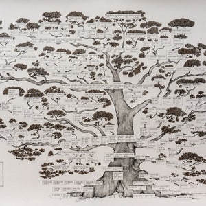 Family Tree, Wall Art, Genealogy, Trees, Nature, Family Heritage ...