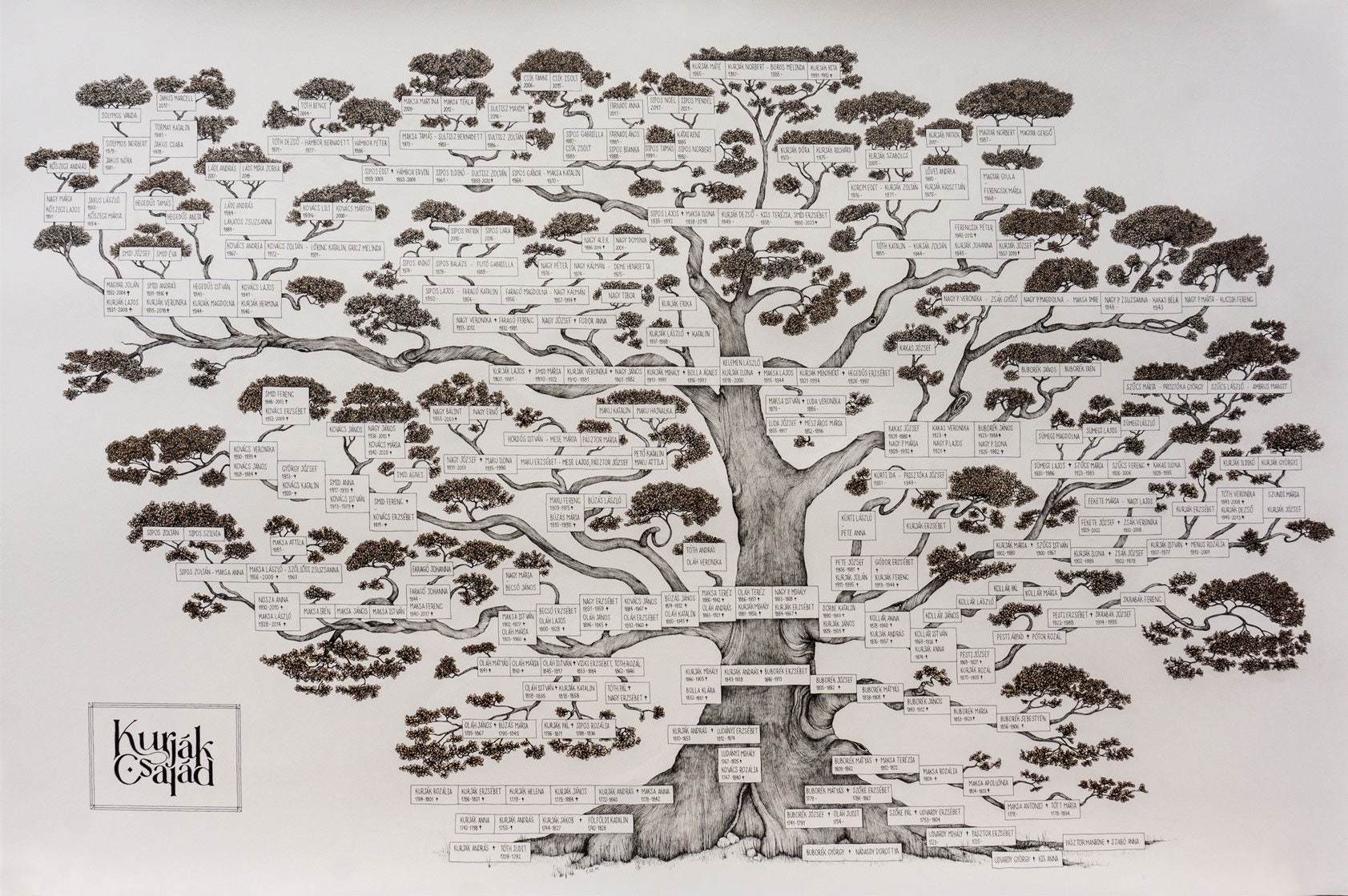 Family Tree, Wall Art, Genealogy, Trees, Nature, Family Heritage ...
