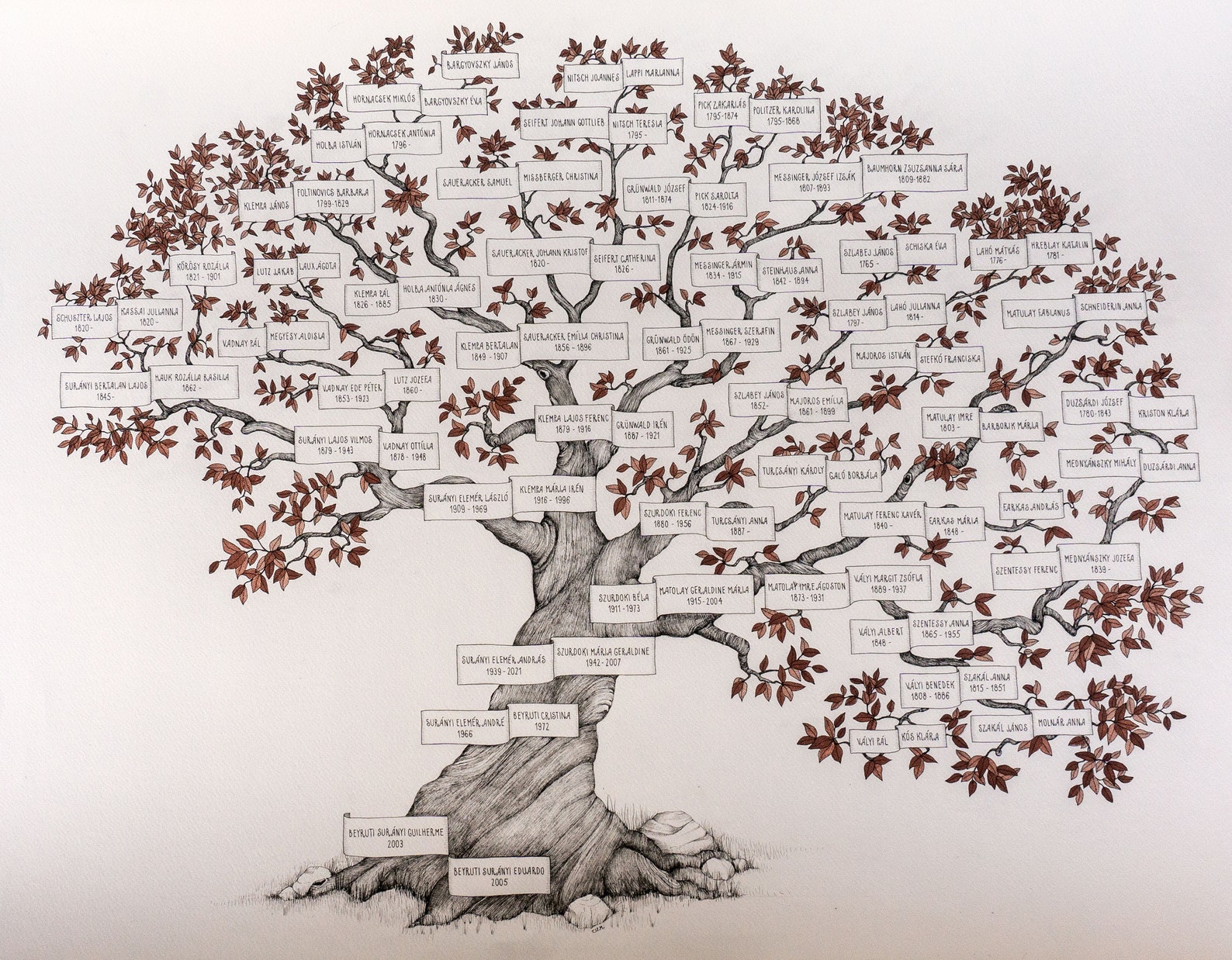 Family Tree, Wall Art, Genealogy, Trees, Nature, Family Heritage ...
