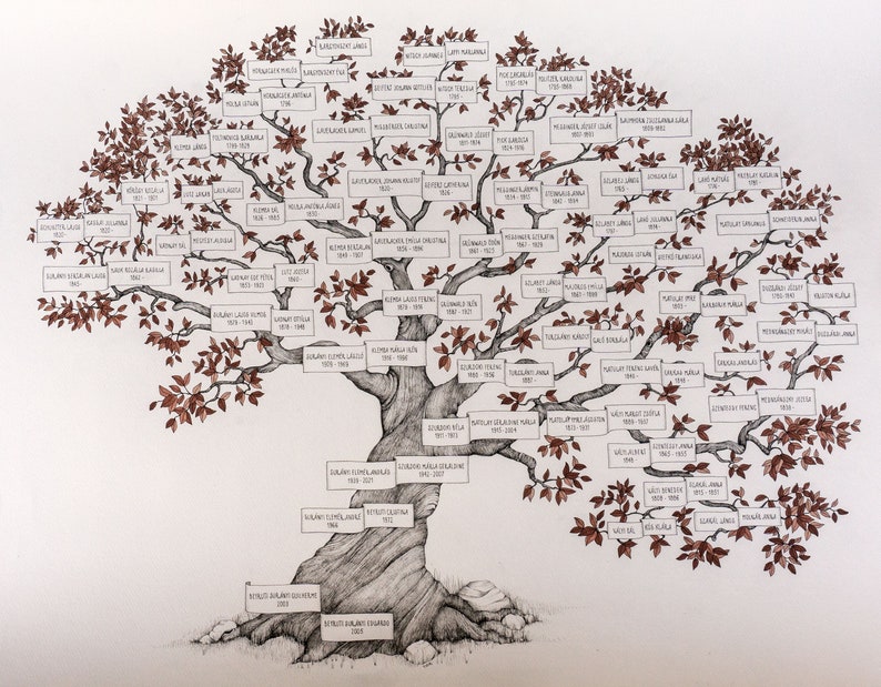 Family Tree, Wall Art, Genealogy, Trees, Nature, Family Heritage ...