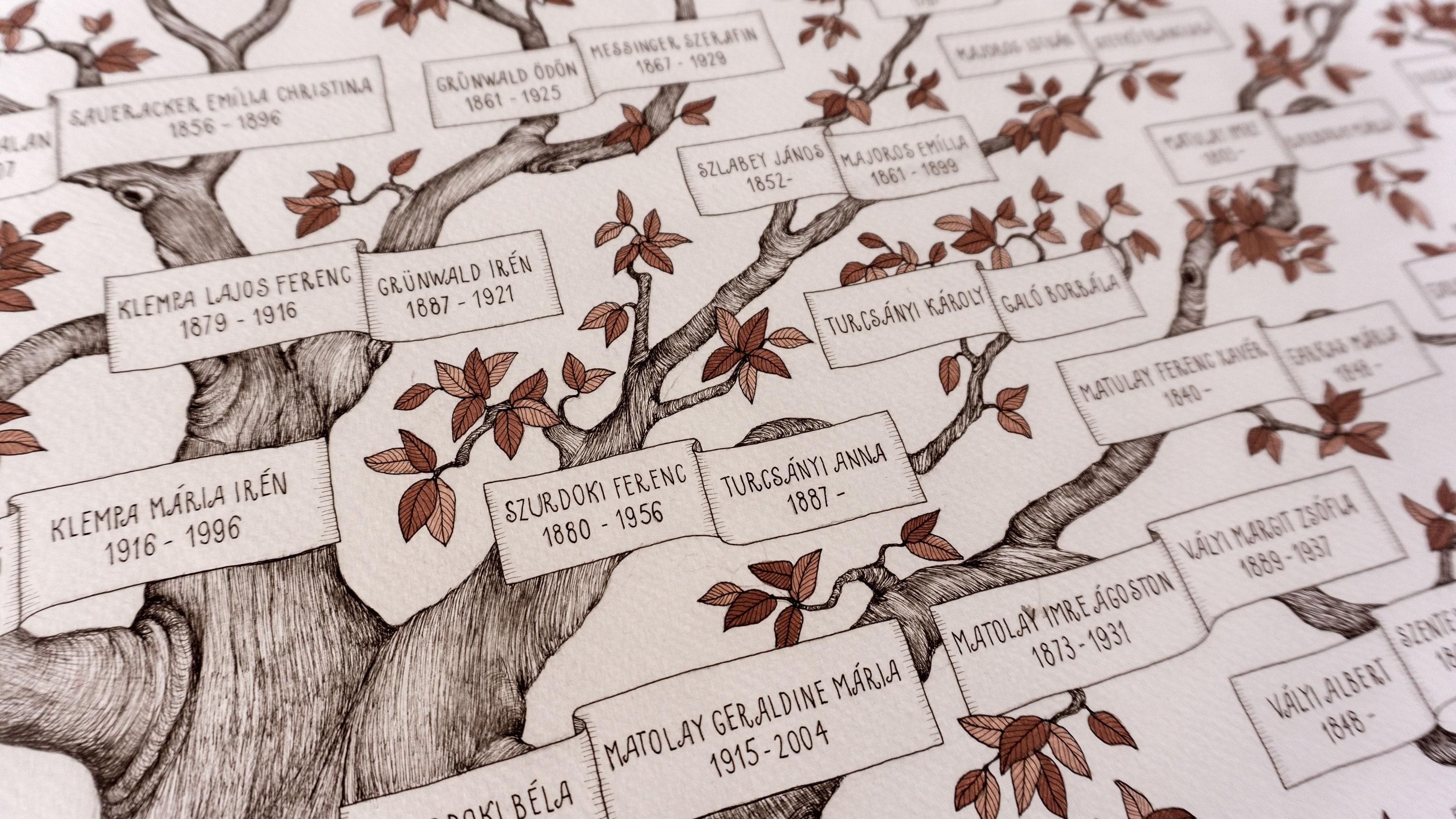 Family Tree, Wall Art, Genealogy, Trees, Nature, Family Heritage ...
