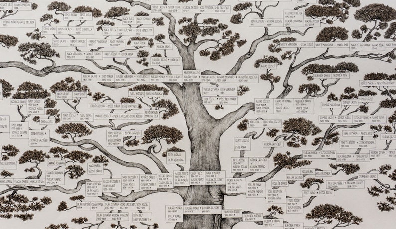 Family Tree, Wall Art, Genealogy, Trees, Nature, Family Heritage ...