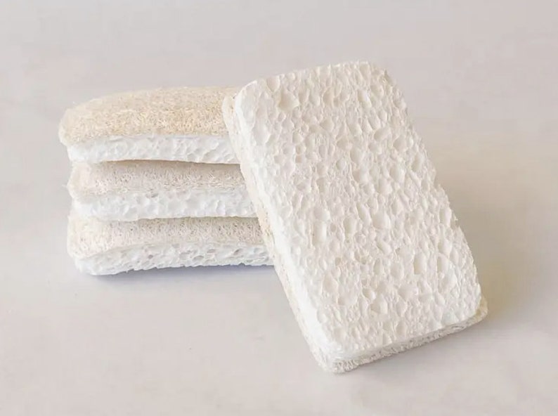 Plastic Free Kitchen Sponge - Plant Based (*for One Sponge) - Etsy