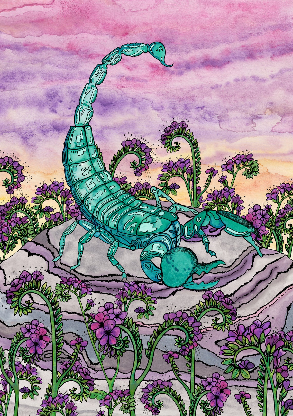 Scorpio Illustration A4 Giclee Print, Zodiac Art Print, Astrology Gifts ...