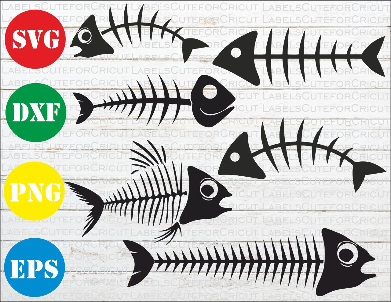 Fish Skeleton Labeled