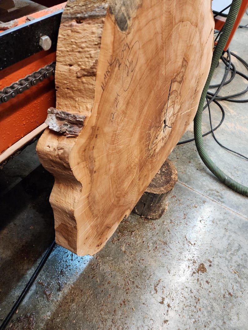 Spalted Maple Live-edge Wood Slab | Cookie/round (32-24"x2 1/2 ...
