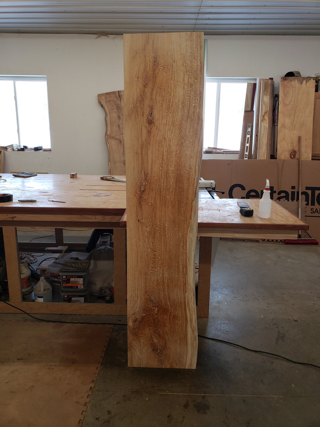 Spalted Sycamore Slab. Live Edge one Side, Multi-figured. Flattened ...