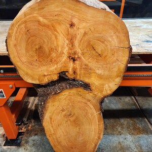 Cherry Live-edge Wood Slab | Cookie/round Slab | 47" X 25" X 3 ...