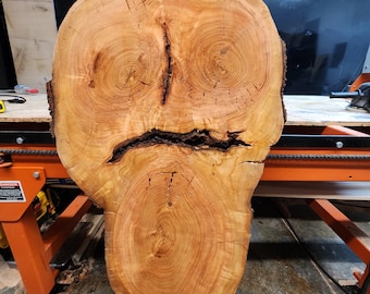 Spalted Hard Maple. Live-edge Cookie Slab. Flattened, Planed, Vacuum ...