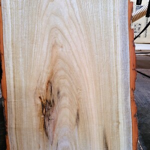 Live Edge Sassafras Wood Slab. Multi-figured, Planed, Kiln Dried. (46 ...