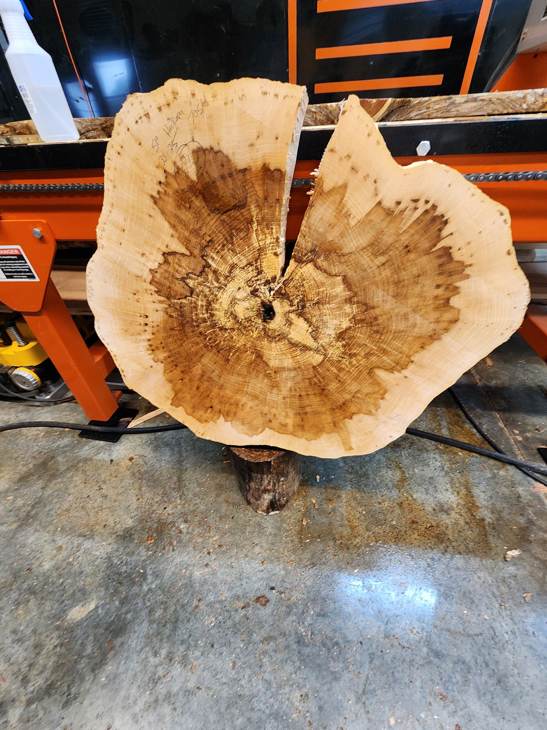 Spalted Hickory Live Edge Round Wood Slab | Cookie, 30