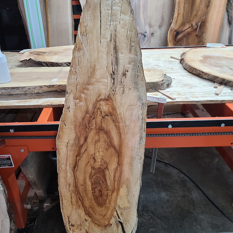 Spalted Wood Slab - Etsy