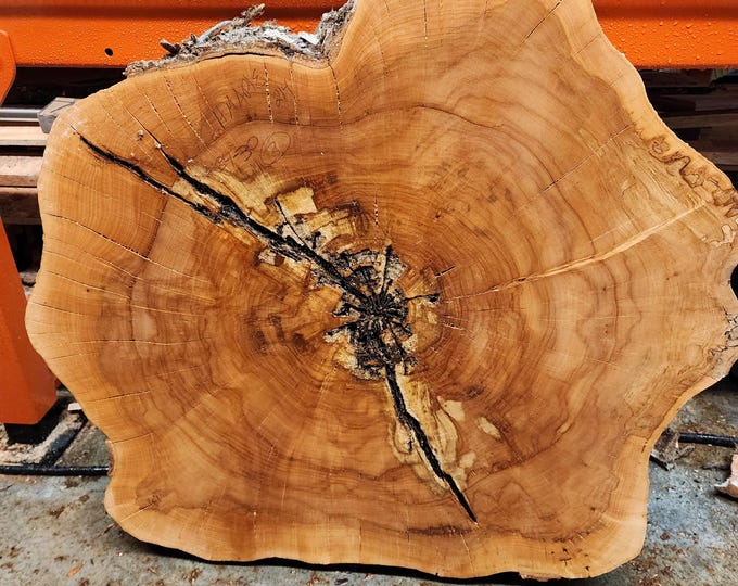 Spalted Hard Maple Live-edge Wood Slab | Cookie/round Slab | 34" - 30 ...