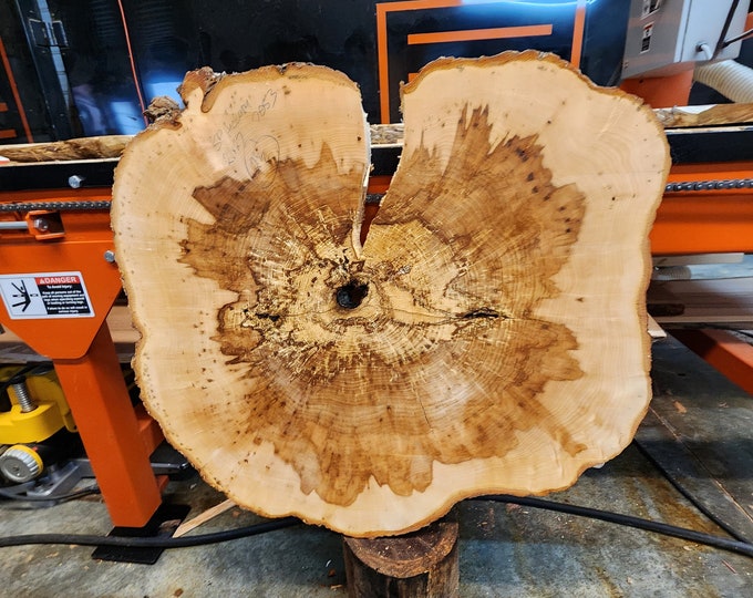 Spalted Hickory Live-edge Wood Slab | Cookie/round Slab | 30 " Wide X 2 ...