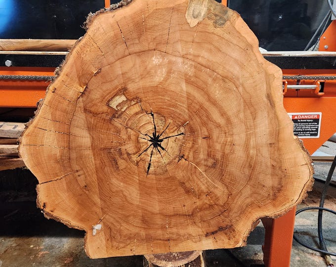 Spalted Hard Maple. Live-edge Cookie Slab. Flattened, Planed, Vacuum ...