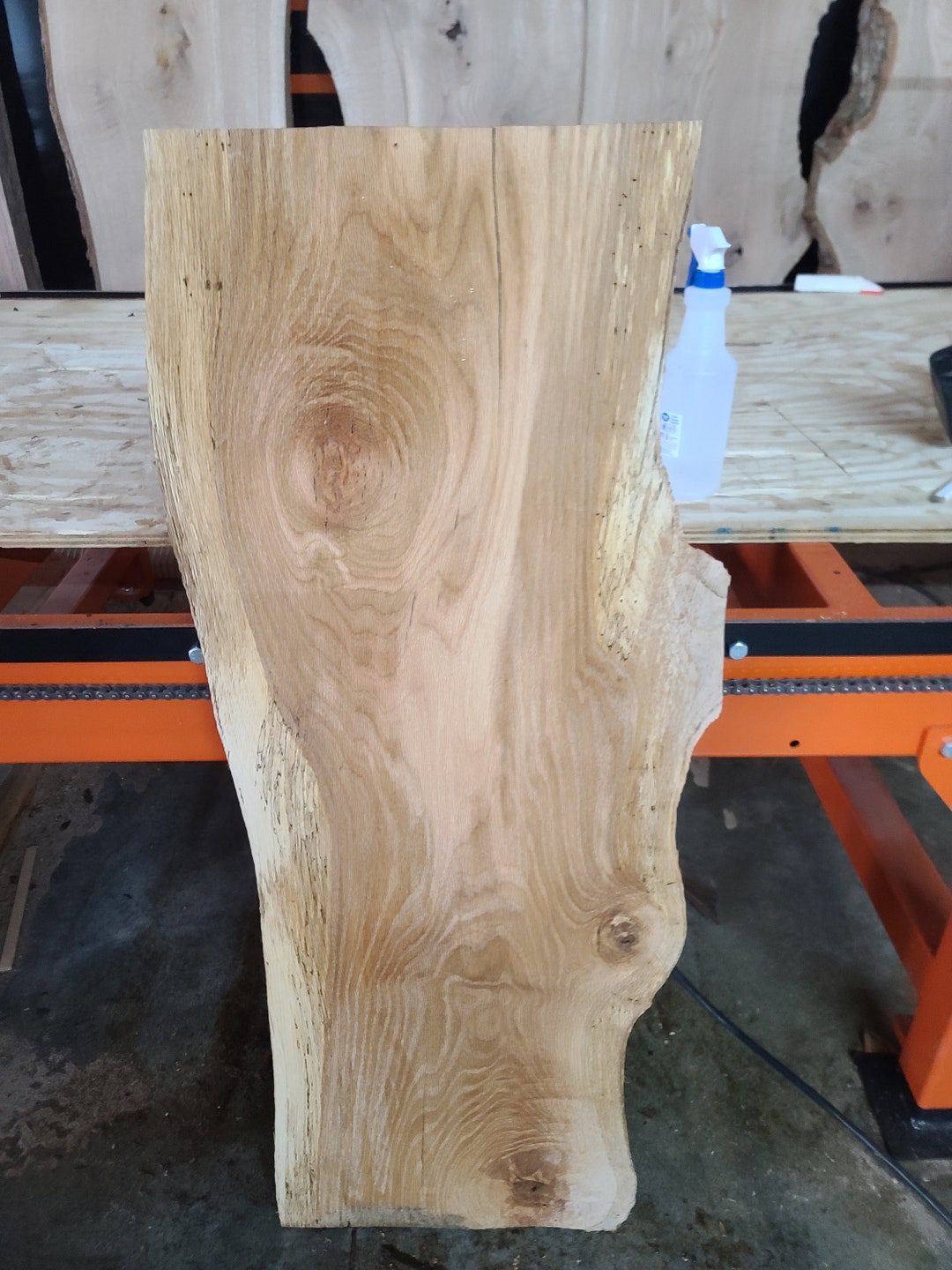 Spalted Oak Wood Slab. 48" X 17" X 1 1/4" Live Edge. Vacuum Kiln Dried ...