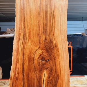 Spalted Red Oak Wood Slab. 90 " X 24 - 17" X 1 3/8 ". Live-edge. Multi ...