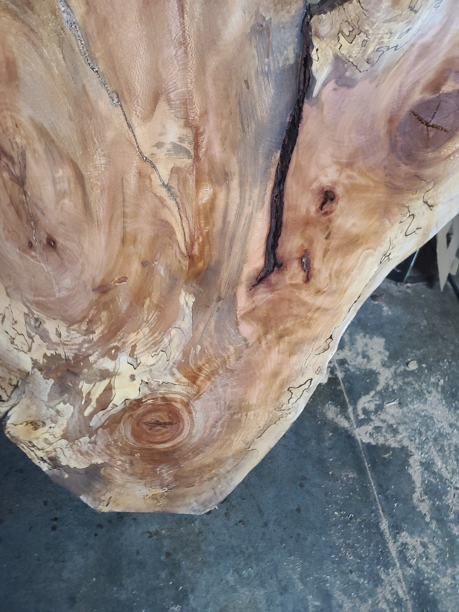Spalted Sycamore Wood Slab. Multi-figured, Kiln Dried. (65"x39"x1 5/8 ...