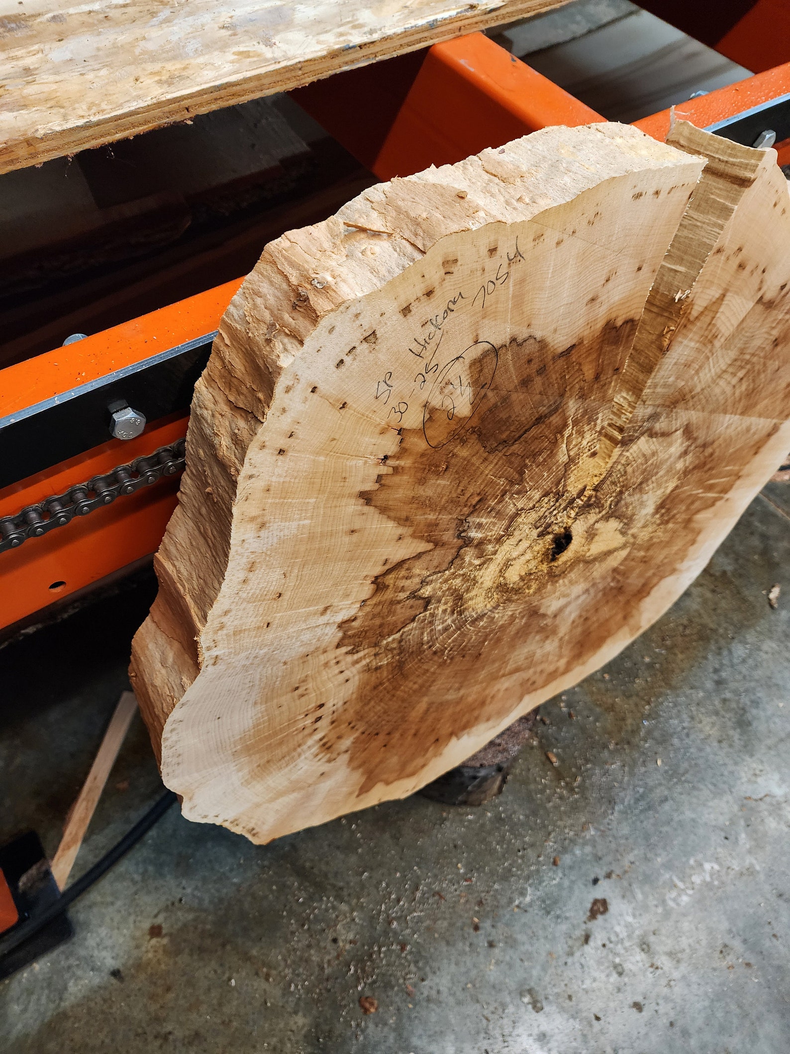 Spalted Hickory Live Edge Round Wood Slab | Cookie, 30