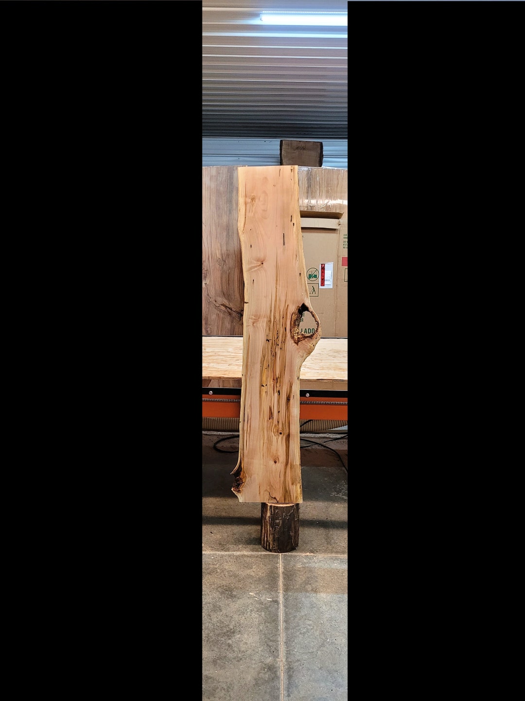 Gum Slab, Spalted. 67 X 11.75-15.75 X 1 7/8. Live-edge. Multi-figured ...
