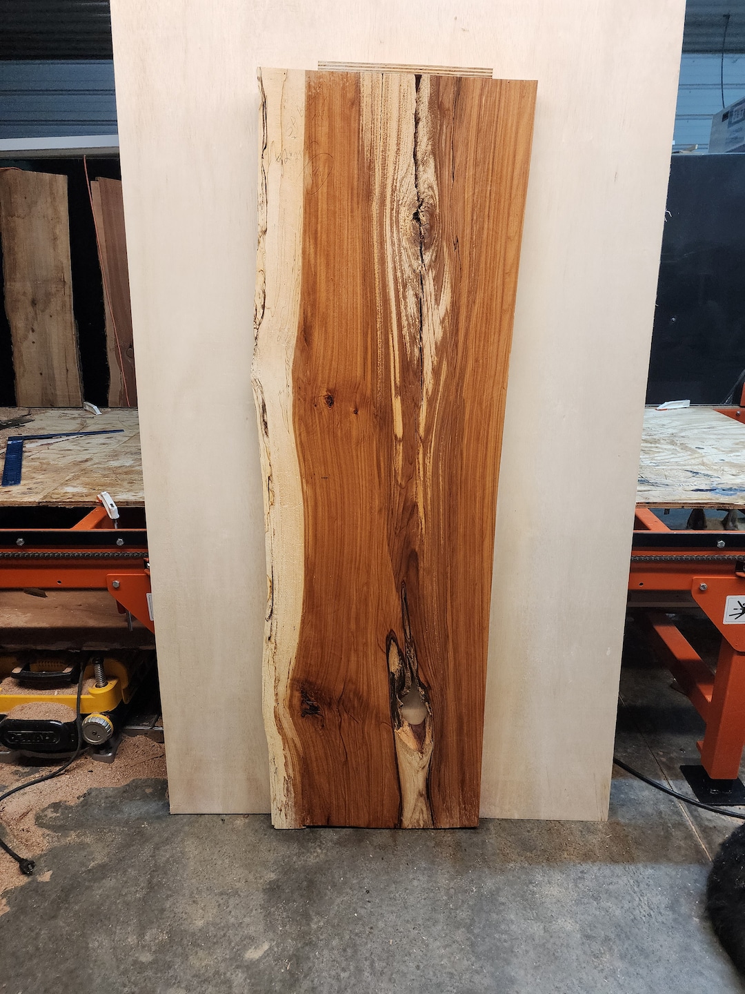 Spalted Beech Wood Slab. 72" X 24 - 22" X 1 3/4". Live-edge One Side ...