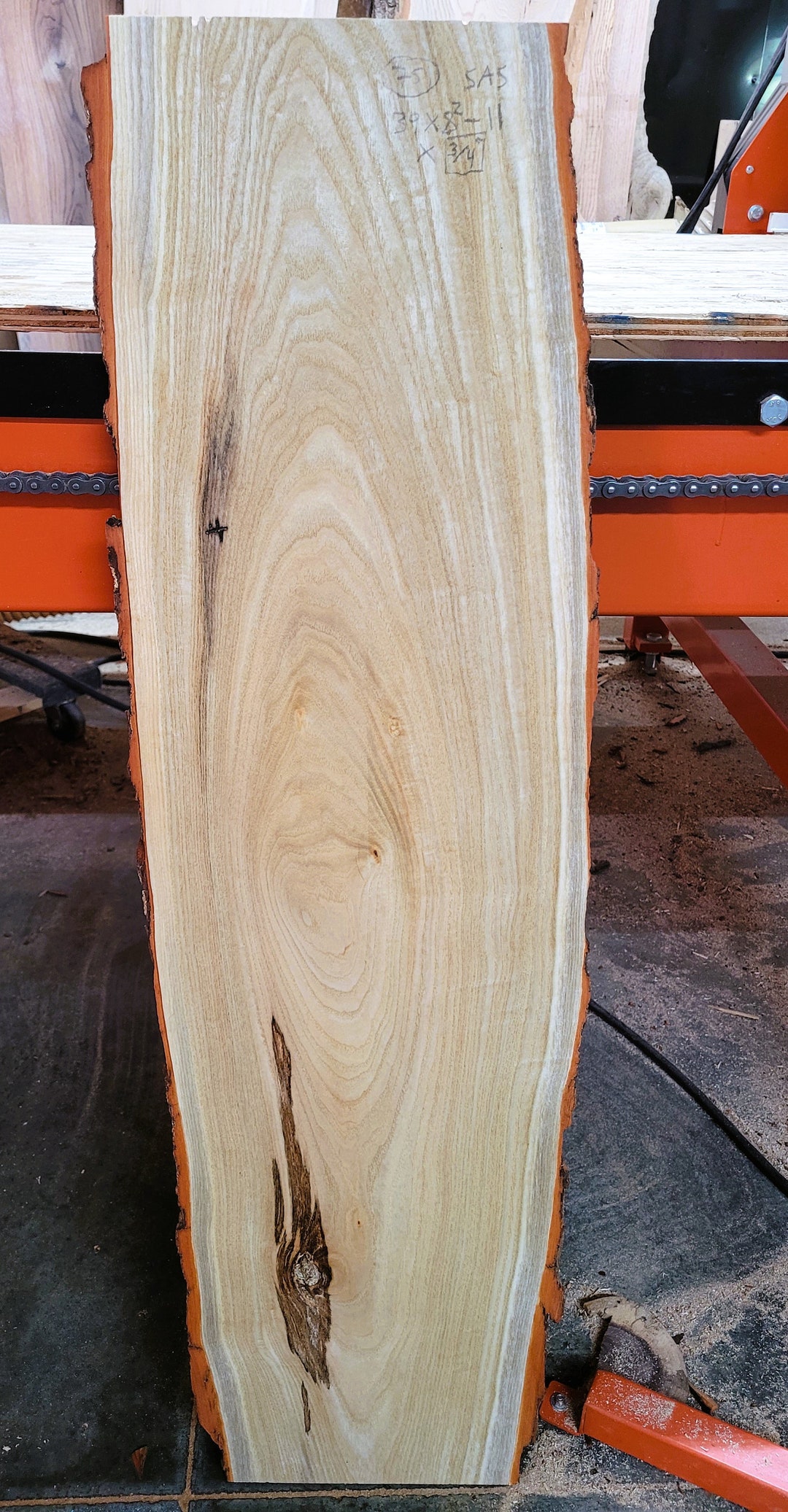 Sassafras Slab. Live Edge, Multi-figured. Flattened, Planed, Vacuum ...